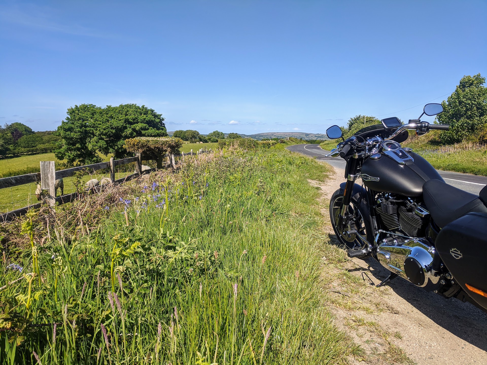 dartmoor – Dancing the Polka