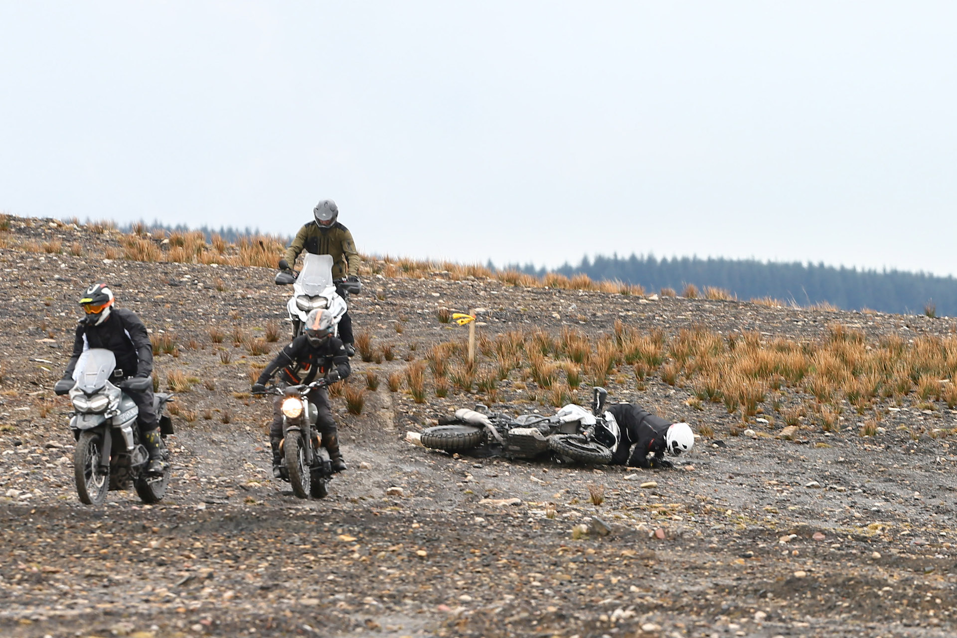 CW1_9987 – Dancing the Polka