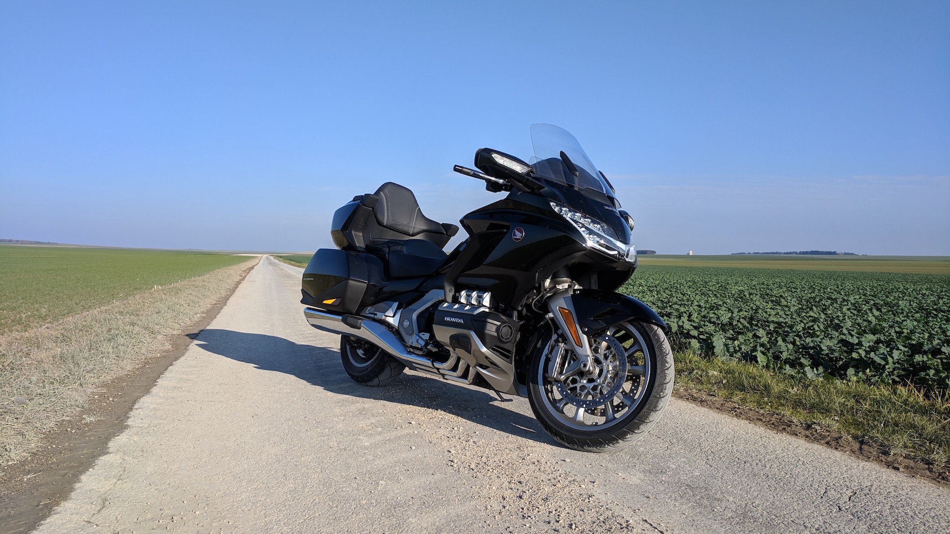 wing – Dancing the Polka